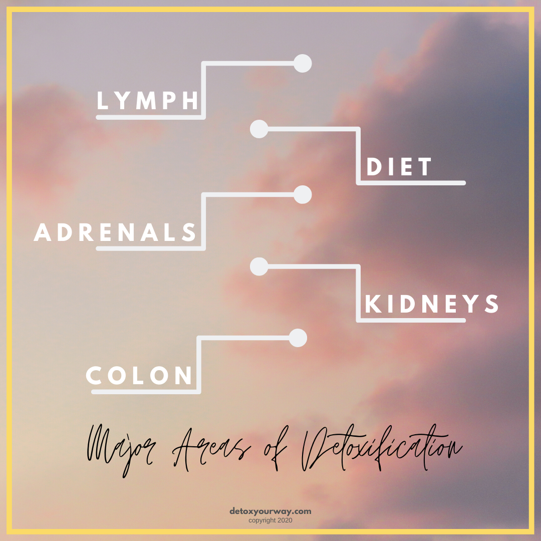 What the Body Requires for Healing | Detox Your Way